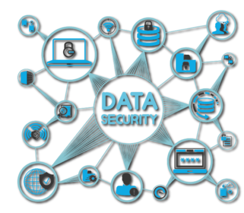 Effective Data Management and Inventory System | Daad Consulting